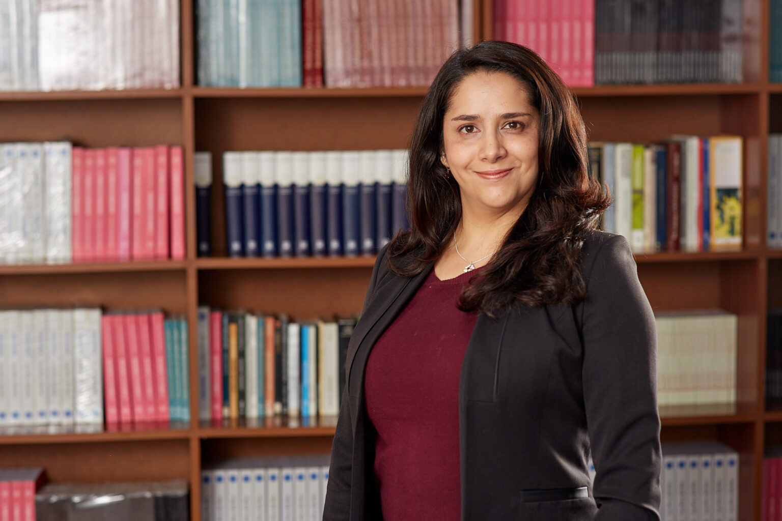 Estructura Organizacional – CPPL